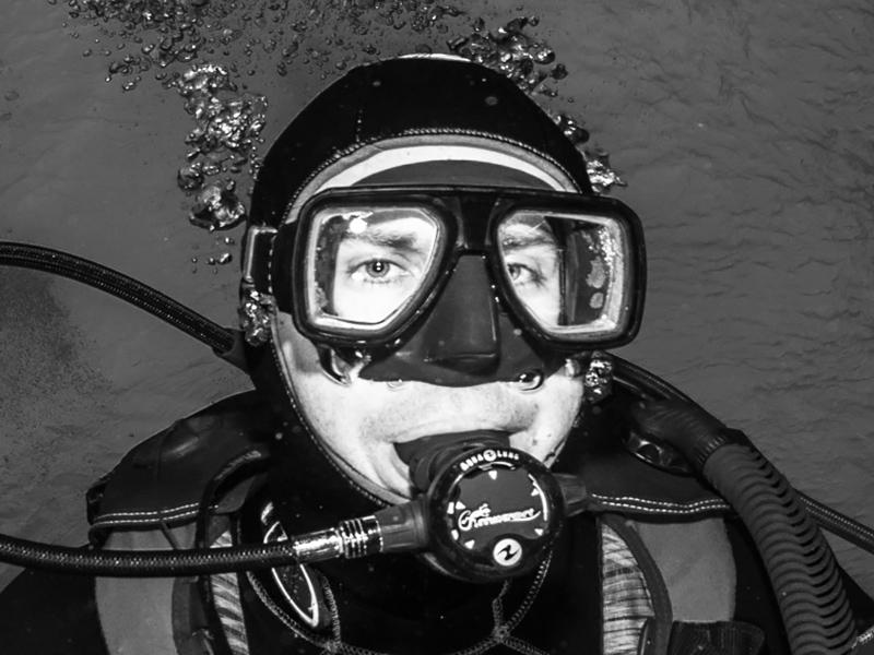 Michael Middlebrooks: The fantastically weird world of photosynthetic ...